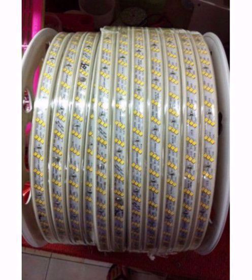 Dây LED trang trí 3 hàng 2835